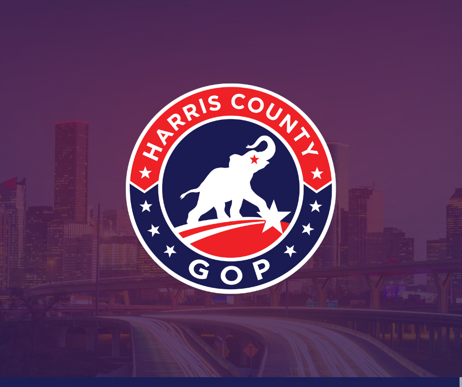 Harris County Gop Endorsed Candidates Dominate Runoff Elections